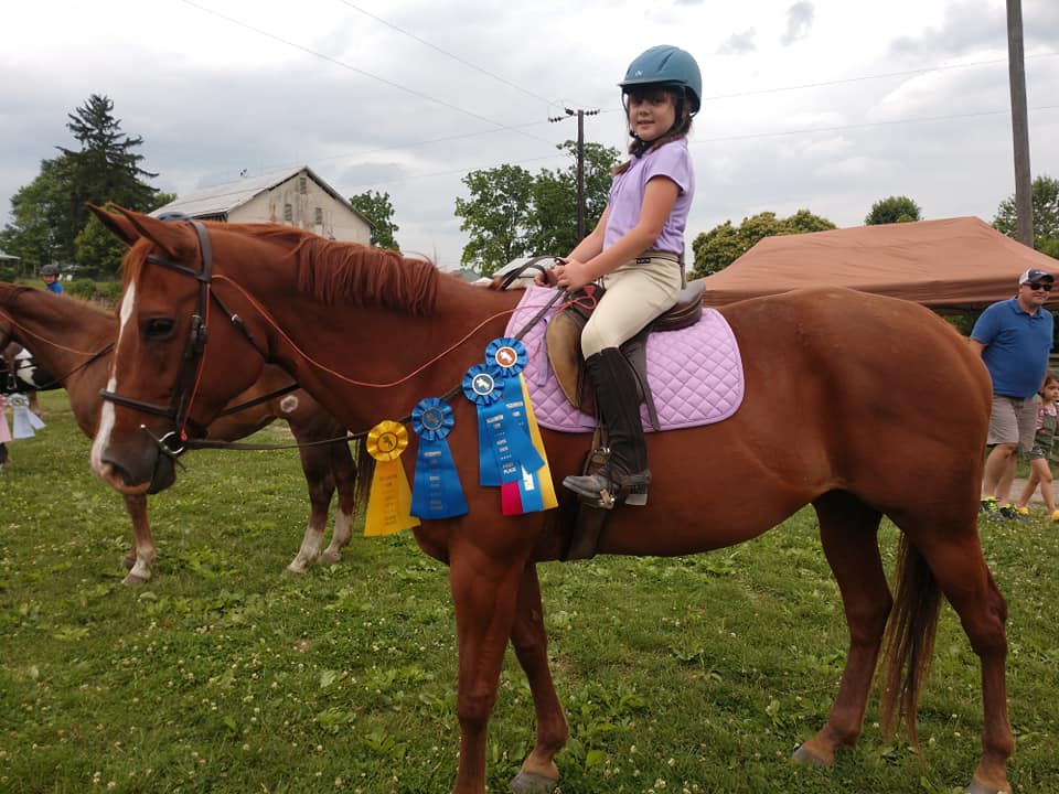 Summer horse shows with Hunter, Jumper & Equitation classes